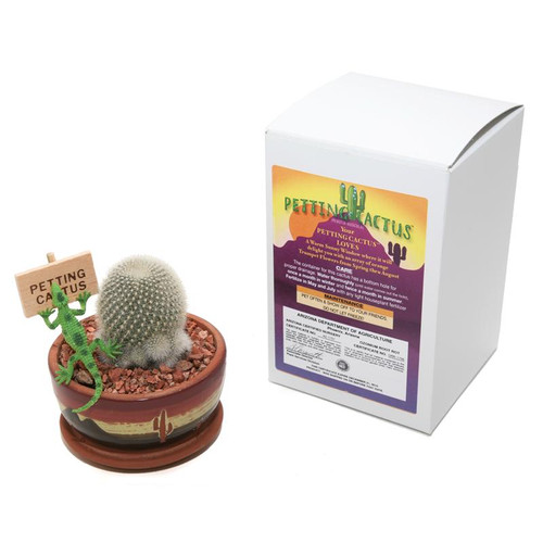 Cactus Gardens - Live Cactus Plants, Cactus Kits, Petting Cactus