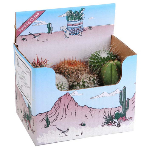 Cactus Travel Kit-without Pottery - Arizona Gifts