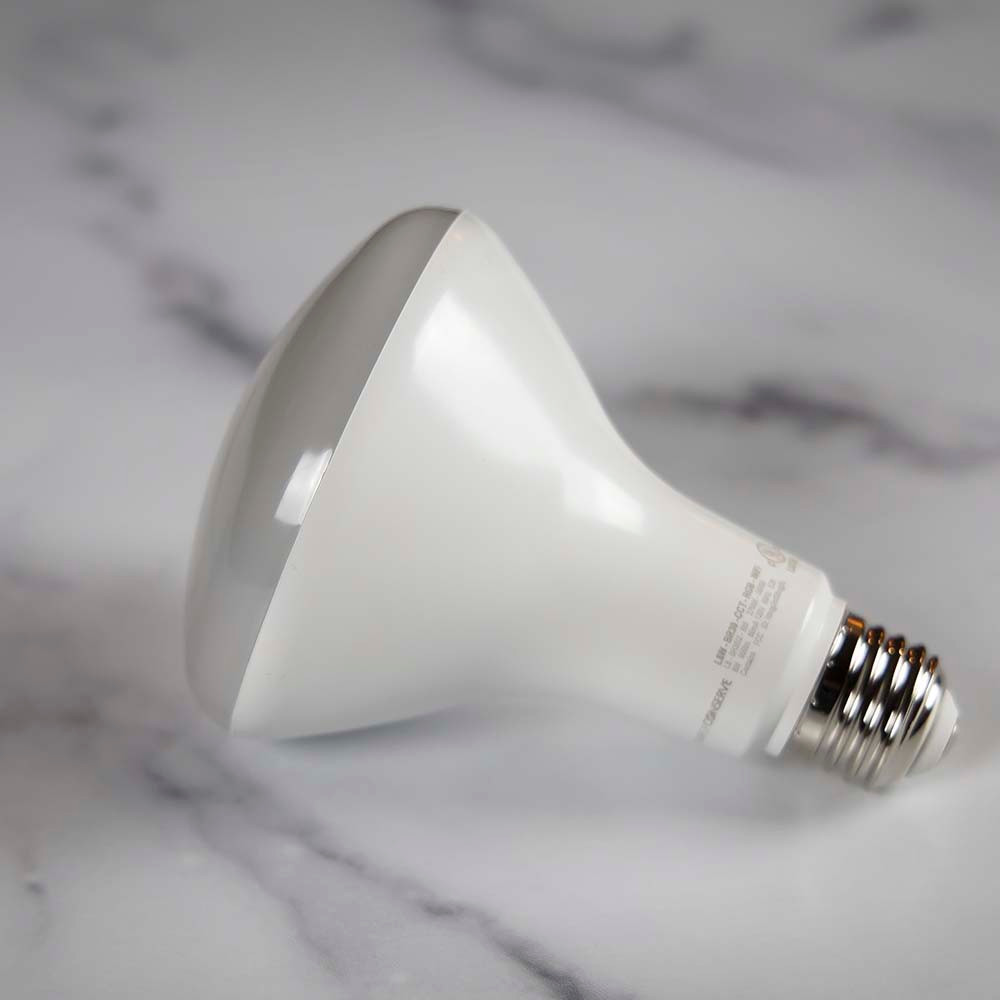BR LEDs | AM Conservation
