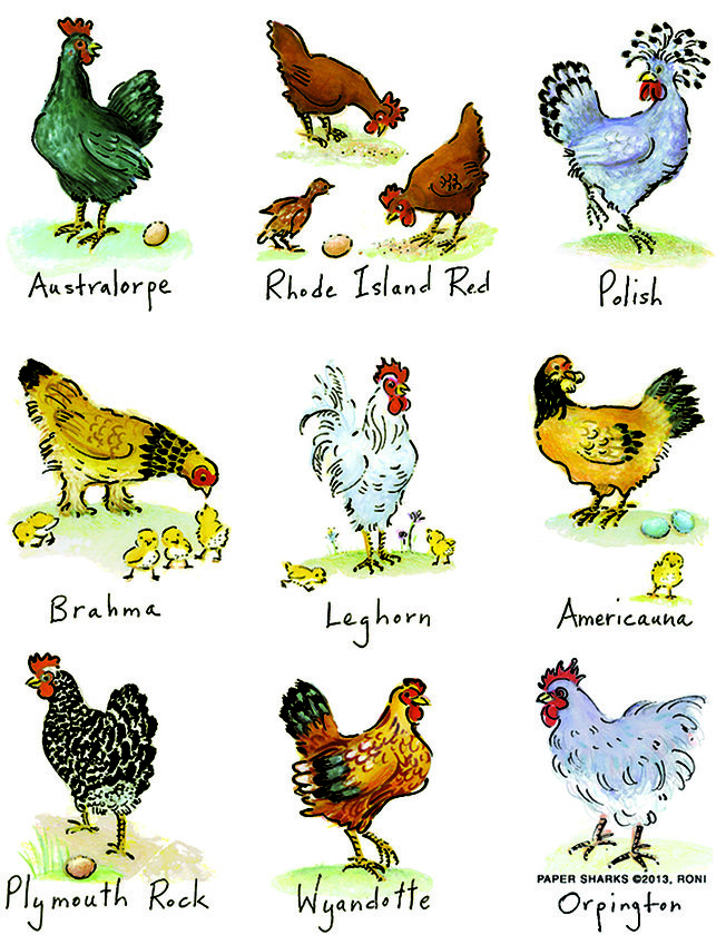 Mother Hens Towel - GoodThings