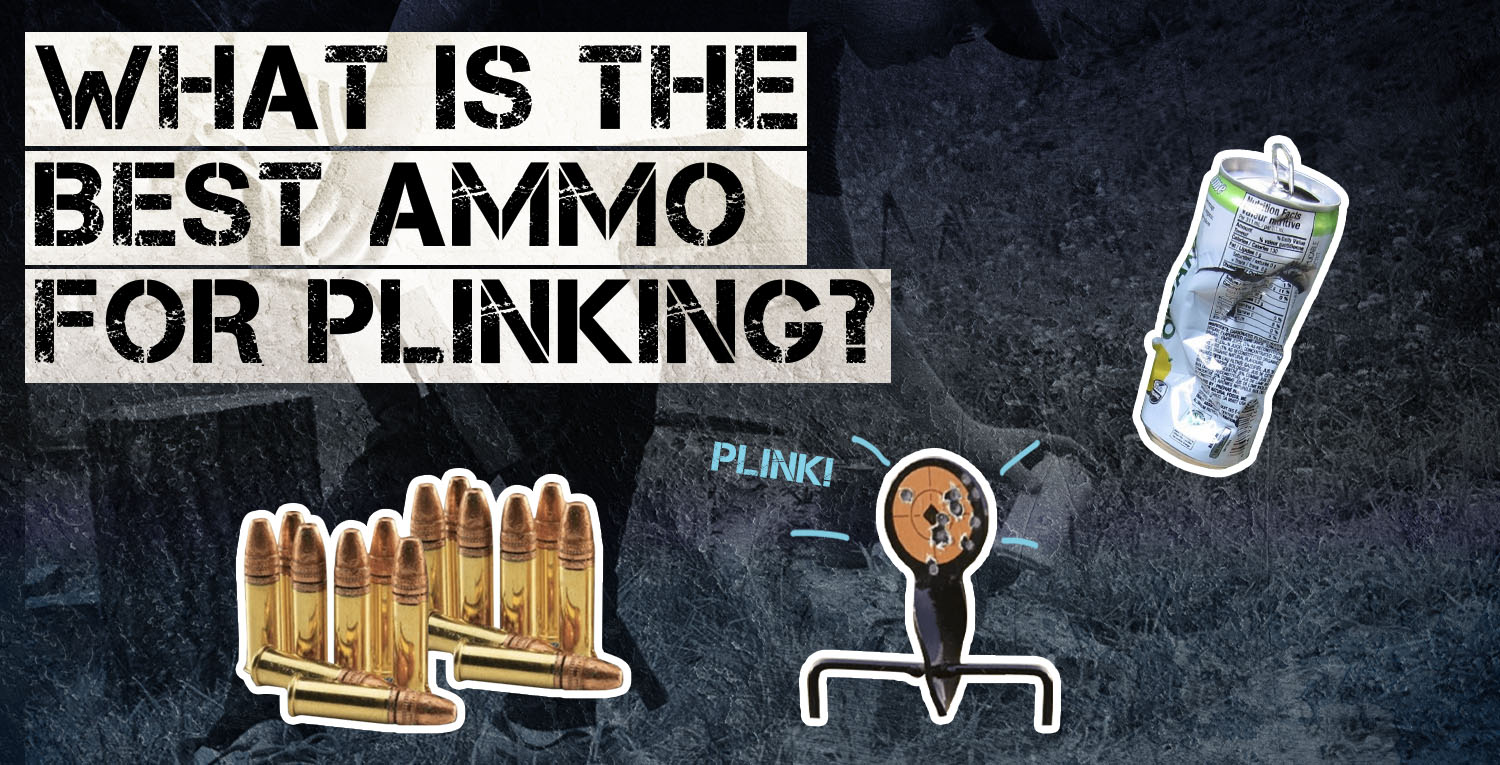 What is the best ammo for plinking? - 5D Tactical