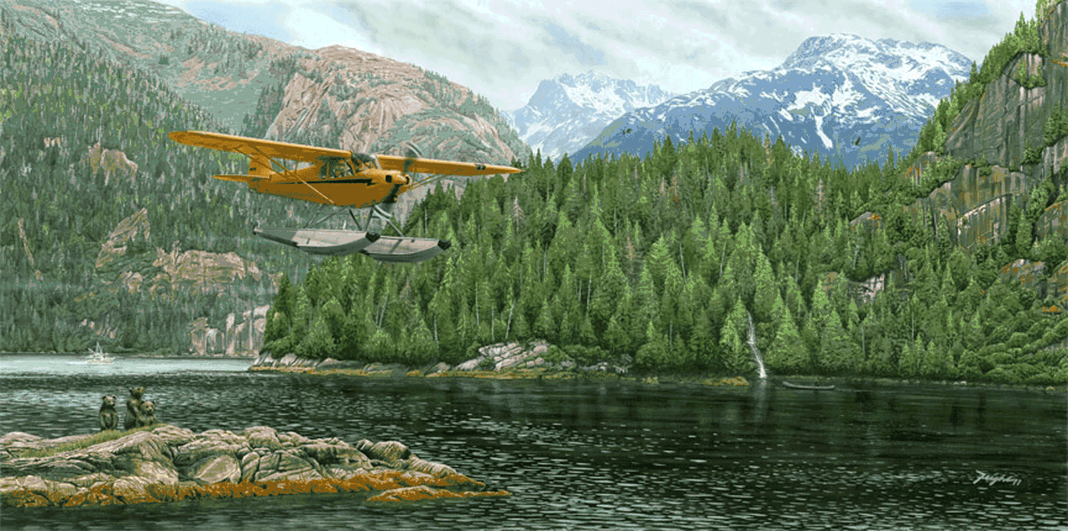 Airplane Art Prints | Aviation Wall Art | Pilot Gifts | Tailwinds