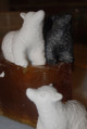 ComposiMold Reusable Mold Making for Safe, Easy Mold Making
