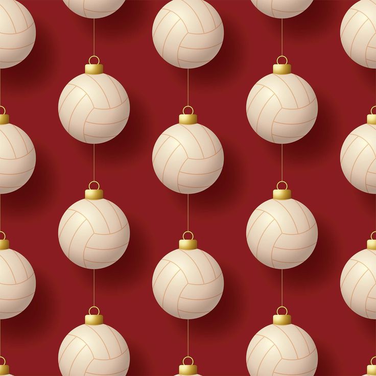 Holiday Gift Guide for Volleyball Players: Spike the Perfect Gifts ...