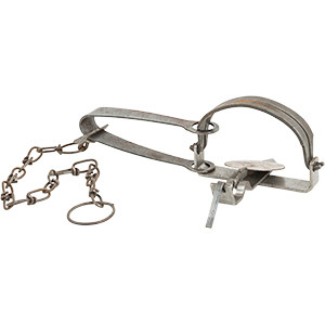 2 1/2 Spring Blake and Lamb Traps | Sterling Fur Co