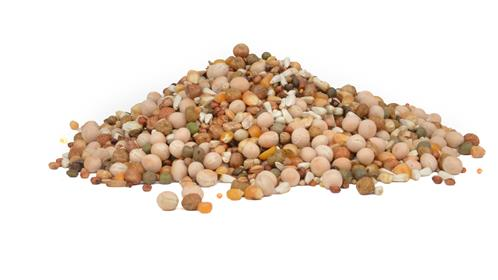 Ultimate Pigeon 16% POP - Lizzie Mae's Bird Seed