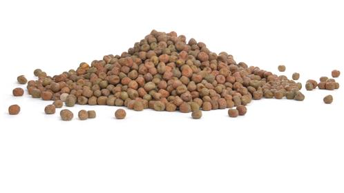 Maple Peas - Lizzie Mae's Bird Seed