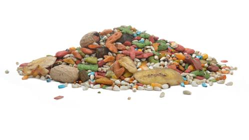 Enriched Large Hookbill Food - Lizzie Mae's Bird Seed