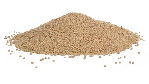 White Millet - Lizzie Mae's Bird Seed