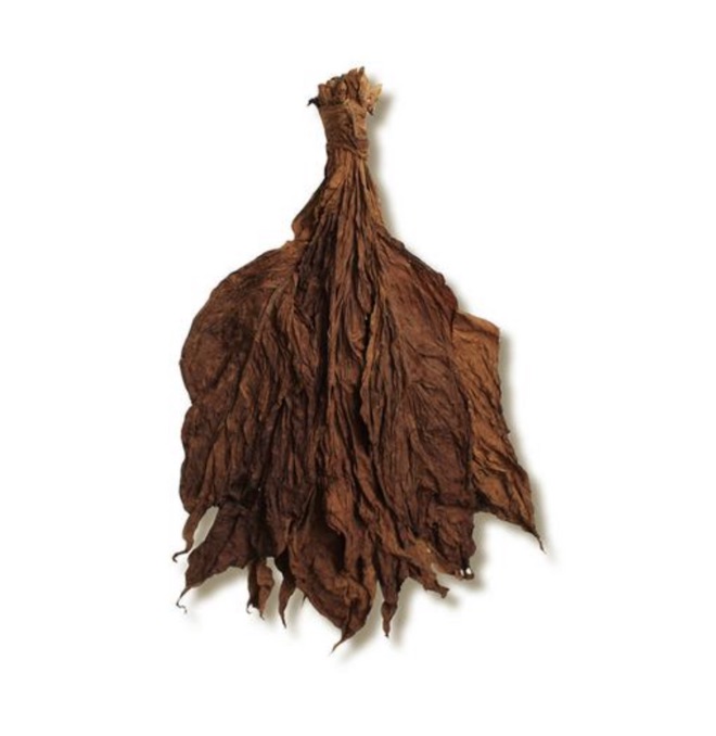 What Is Fronto & Why Has Everyone Started Using It? - The Real Grabba