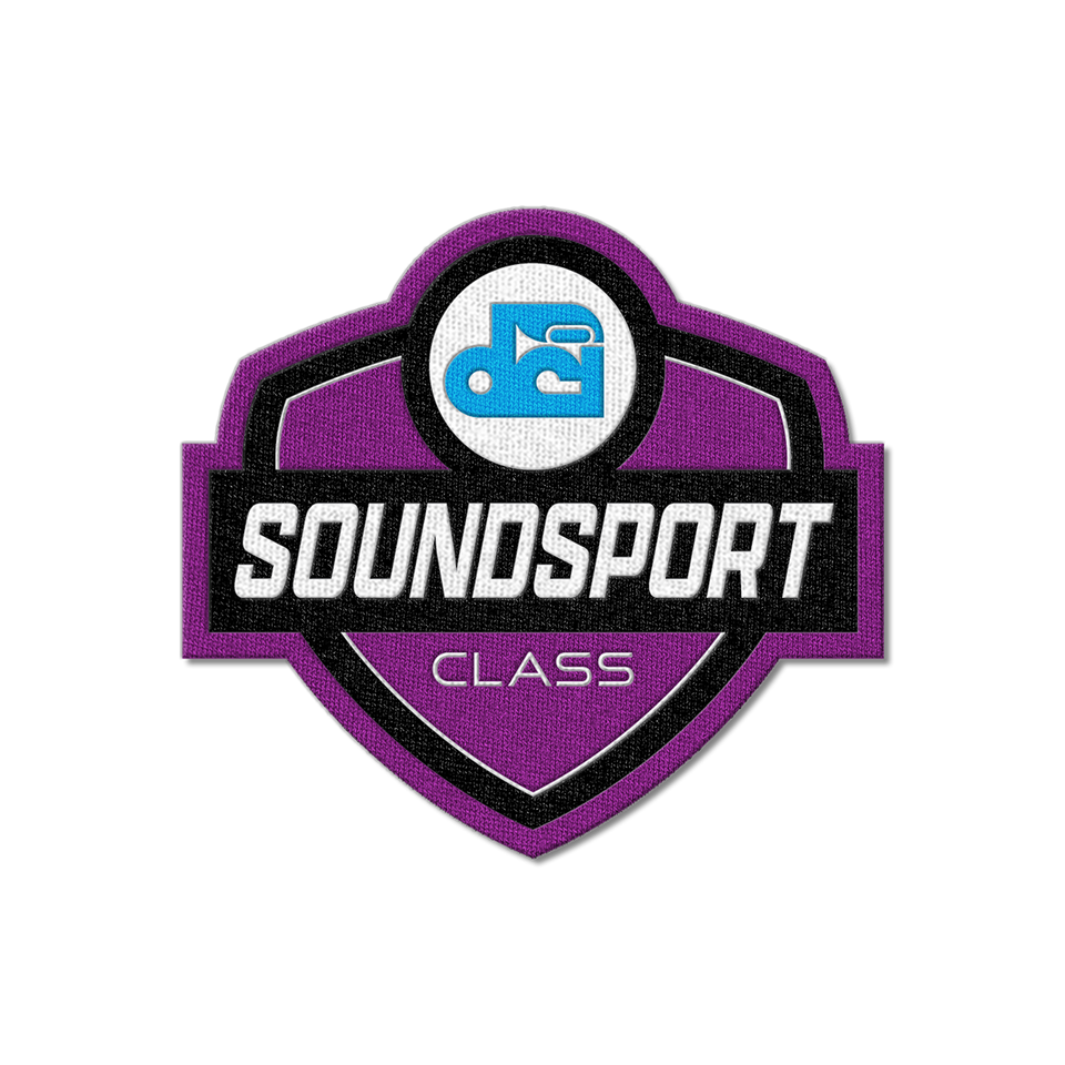 Patch and Pins - DCI Store