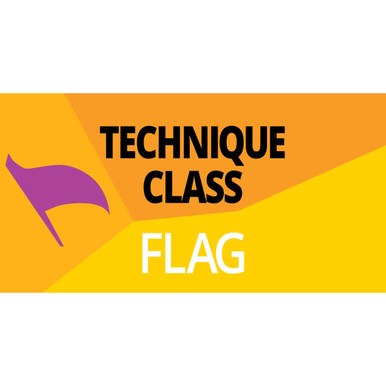 WGI Color Guard Series: Technique Class - Flag - WGI Online Store