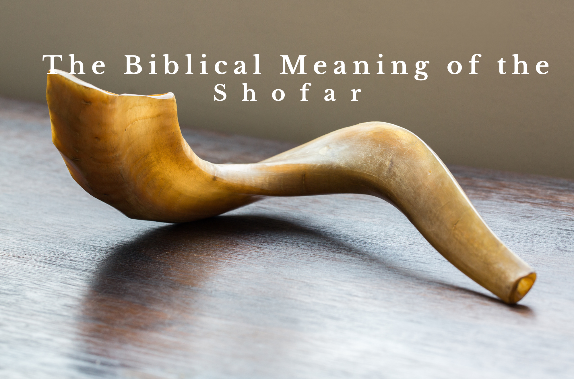 The Biblical History of the Shofar in Christianity - Bradley Kellie