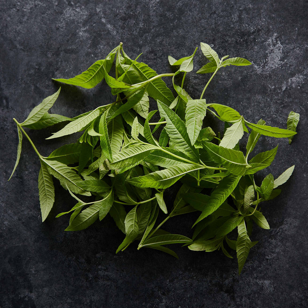 Micro Lemon Verbena (15g) - Wellocks Online Ordering