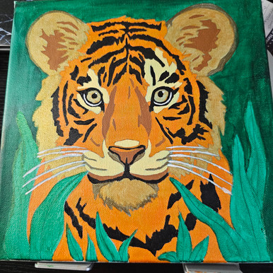Tiger Paint Kit