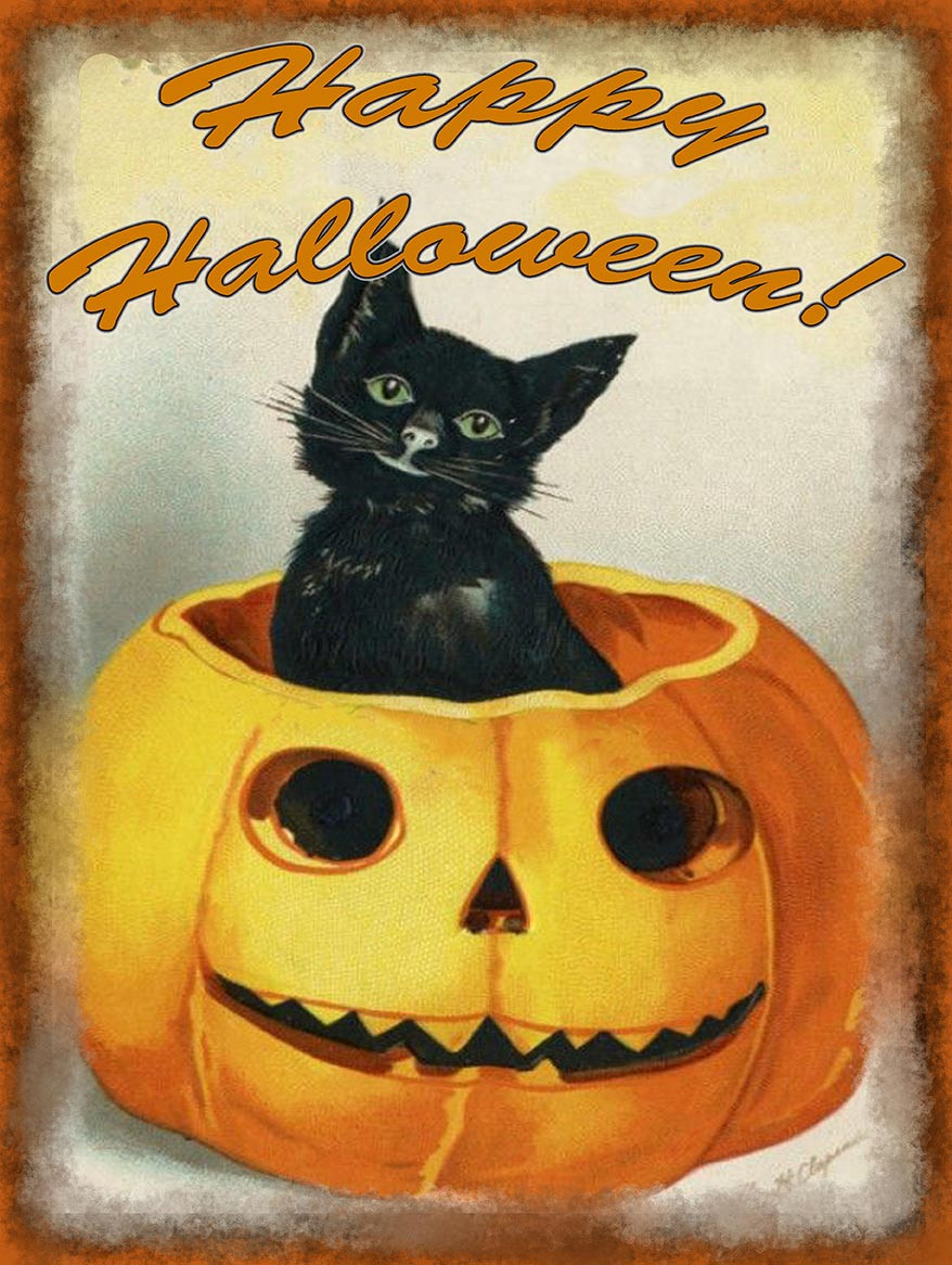 Happy Halloween Black Cat - American Collectibles