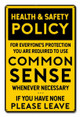 Common Sense Policy Metal Sign - American Collectibles
