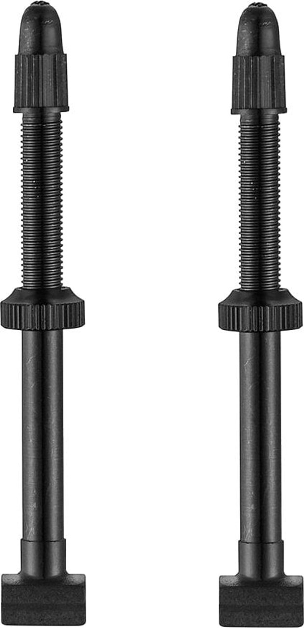 Giant tubeless valve store