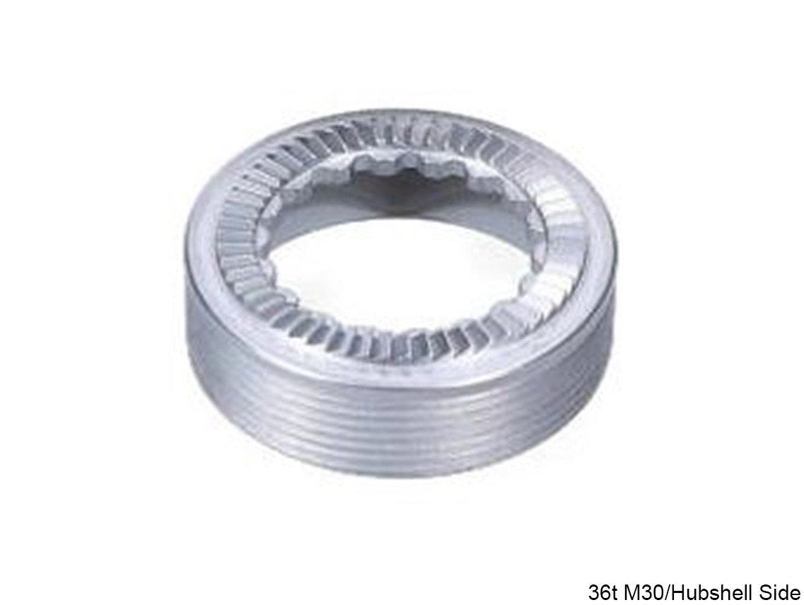 DT Swiss EXP Star Ratchet (Individual) - Bikebug