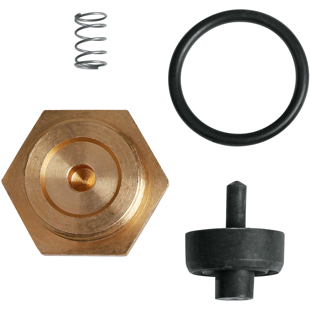 SKS Renkompressor Check Valve Set - Bikebug