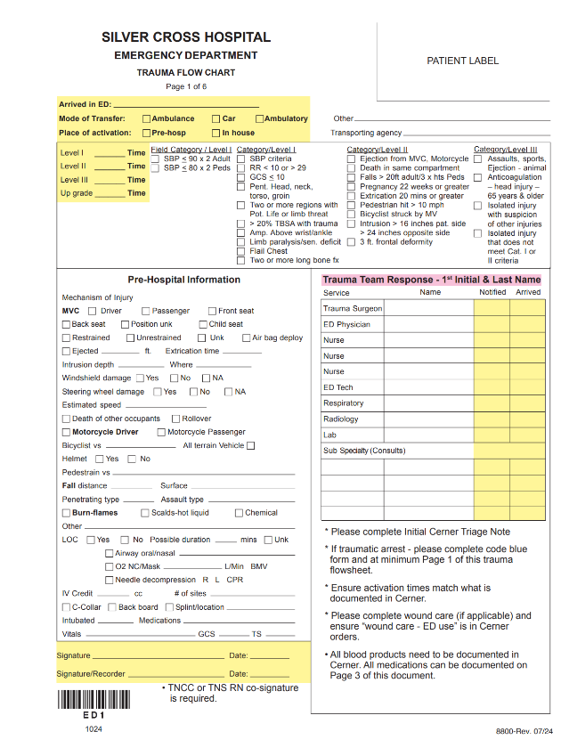1024 - ER Trauma Flow Sheet - Package (100) - Silver Cross Store