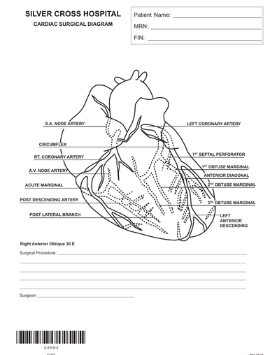 51242 - Cardiac Surgical Diagram - Package (100) - Silver Cross Store