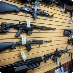 Archery Hunting Equipment | Buy Firearms Online | Penn Fishing Reels