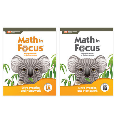 Math In Focus Curriculum