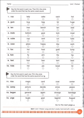 MCP Plaid Phonics Grade 4