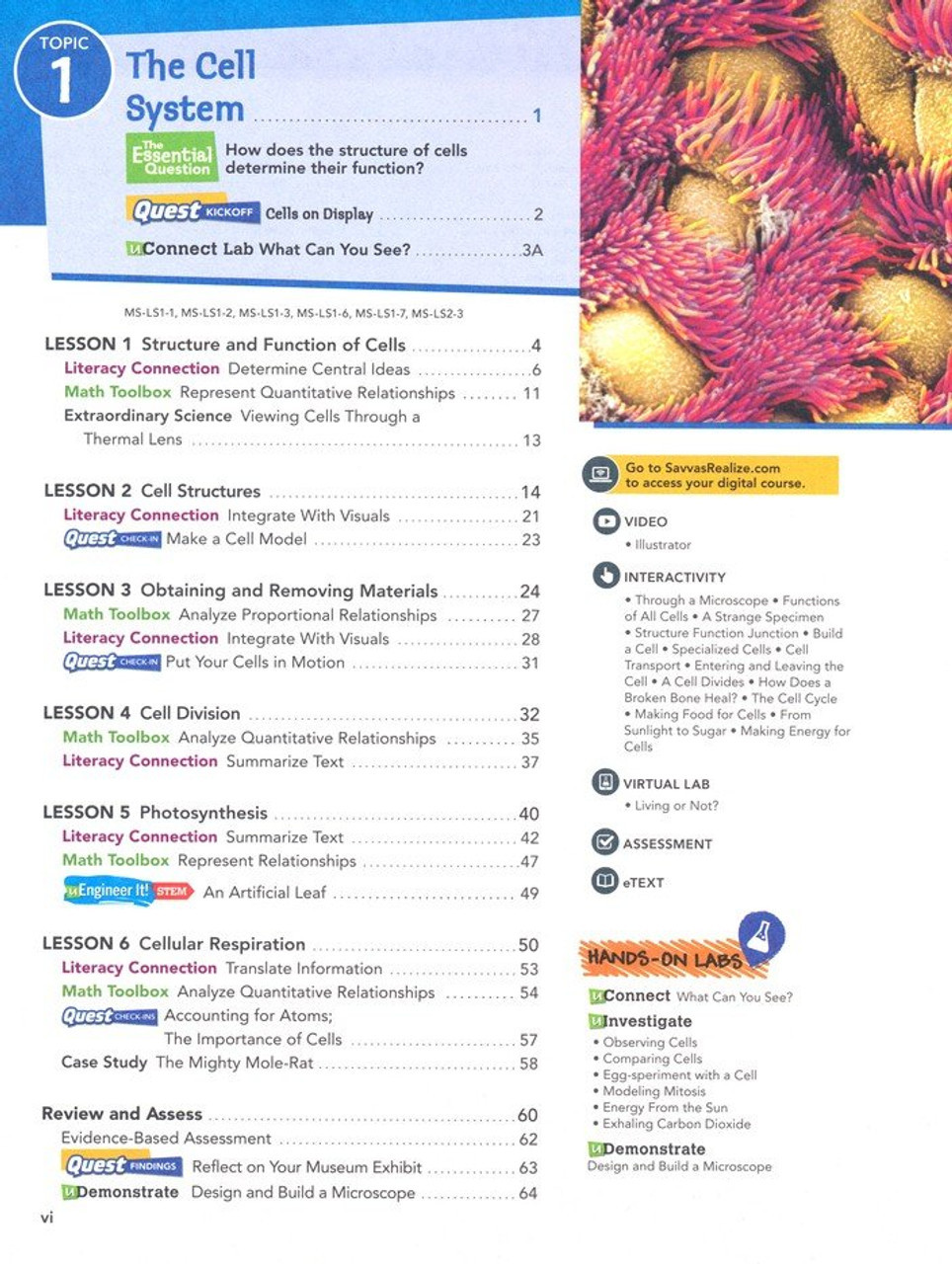 elevate Science Homeschool Bundle Grade 7