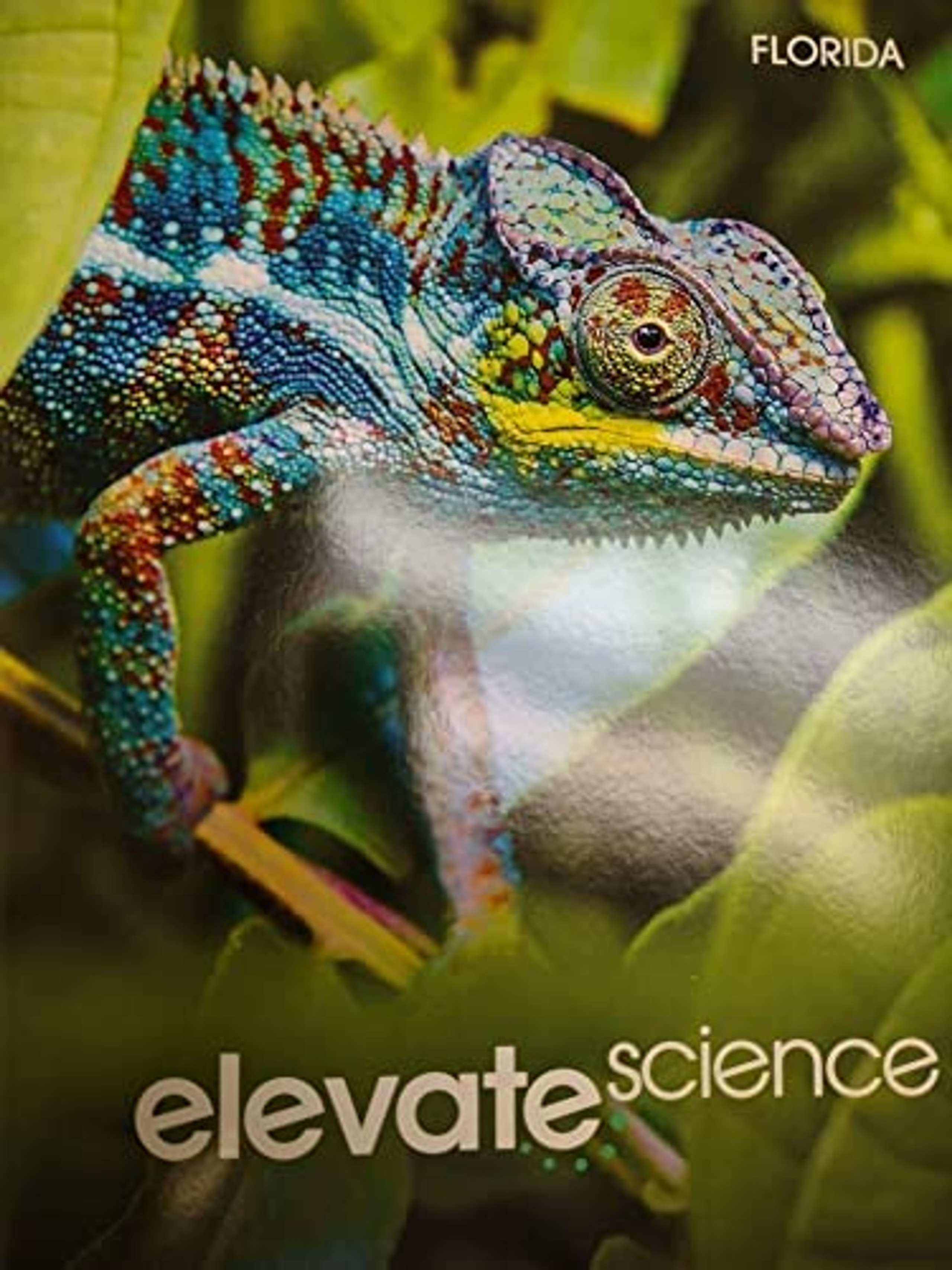 Grade 4 Florida Elevate Science Student Edition 2019