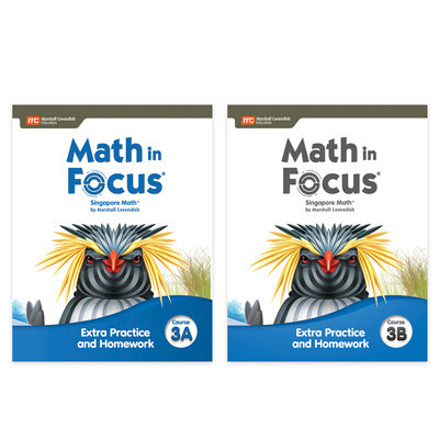 Math in Focus Extra Practice and Homework Set Course 3