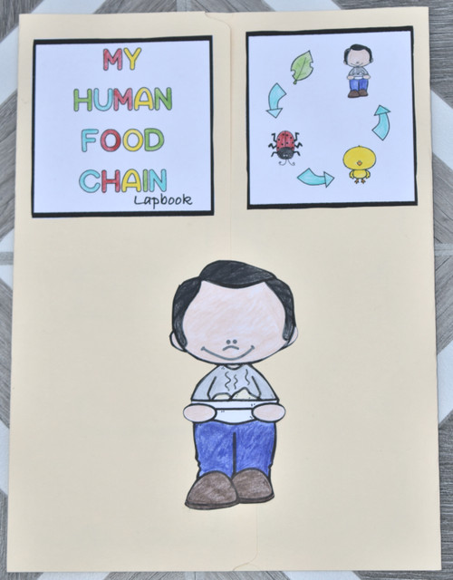 Lapbook Human Food Chain