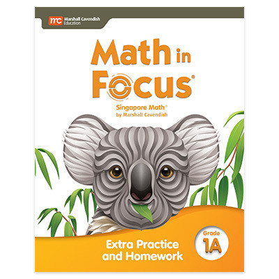 Math In Focus Curriculum