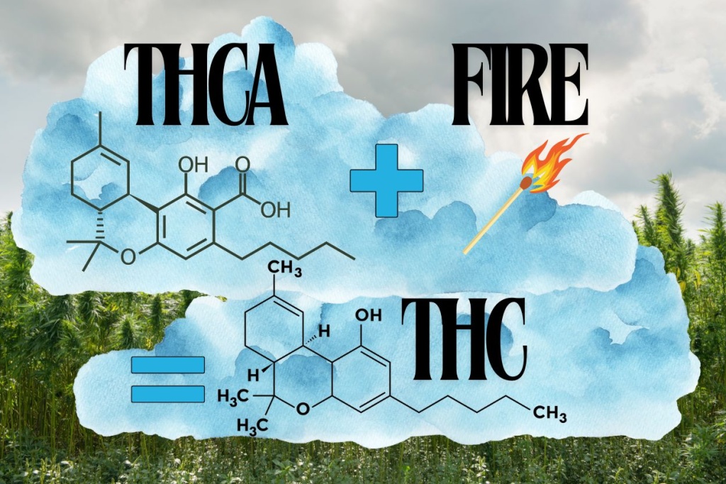 What's the Difference Between THC and THCA? - Green Health Delivery