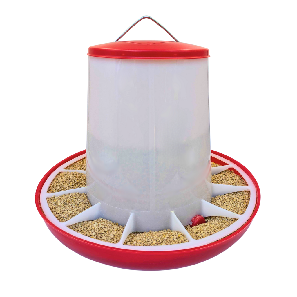 Little Family Members Large Chicken Feeder 11-Pound Capacity For All ...
