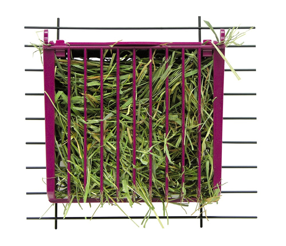 Kaytee Hay and Food Bin Feeder with Quick Locks Dispenser For Small Animals