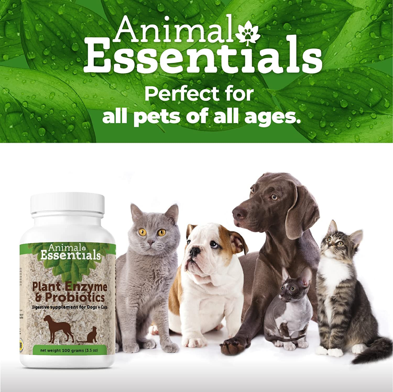 Animal Essentials Plant Enzymes and Probiotics 300 gram Supplement for ...
