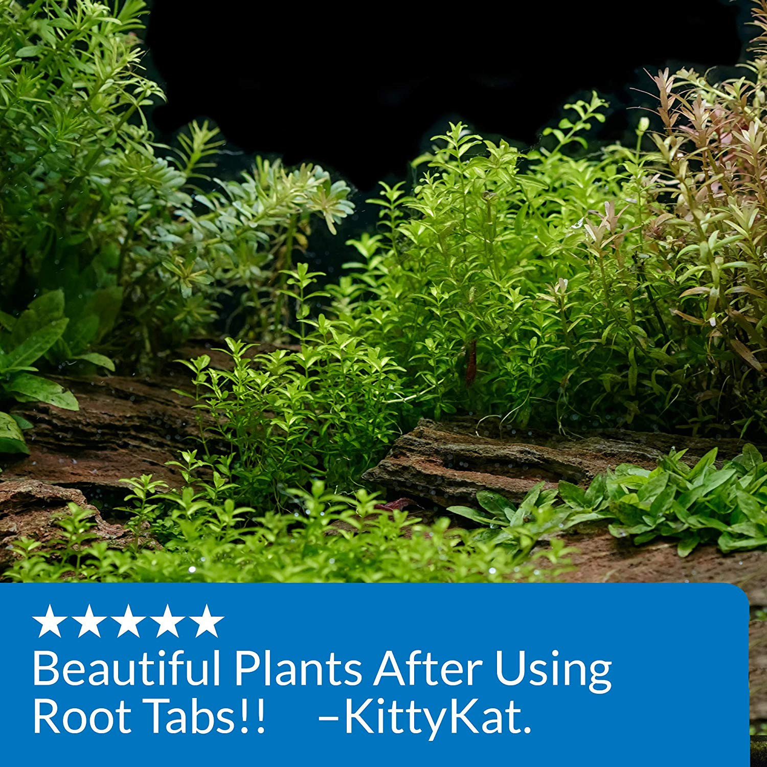 API Root Tabs Freshwater Aquarium Plant Fertilizer .4 Ounce 10 Tablets