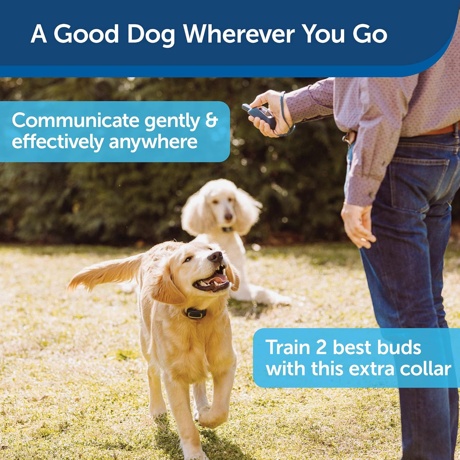 PetSafe Spray Trainer Add-A-Dog 300 Yard Spray Collar Includes Refill ...