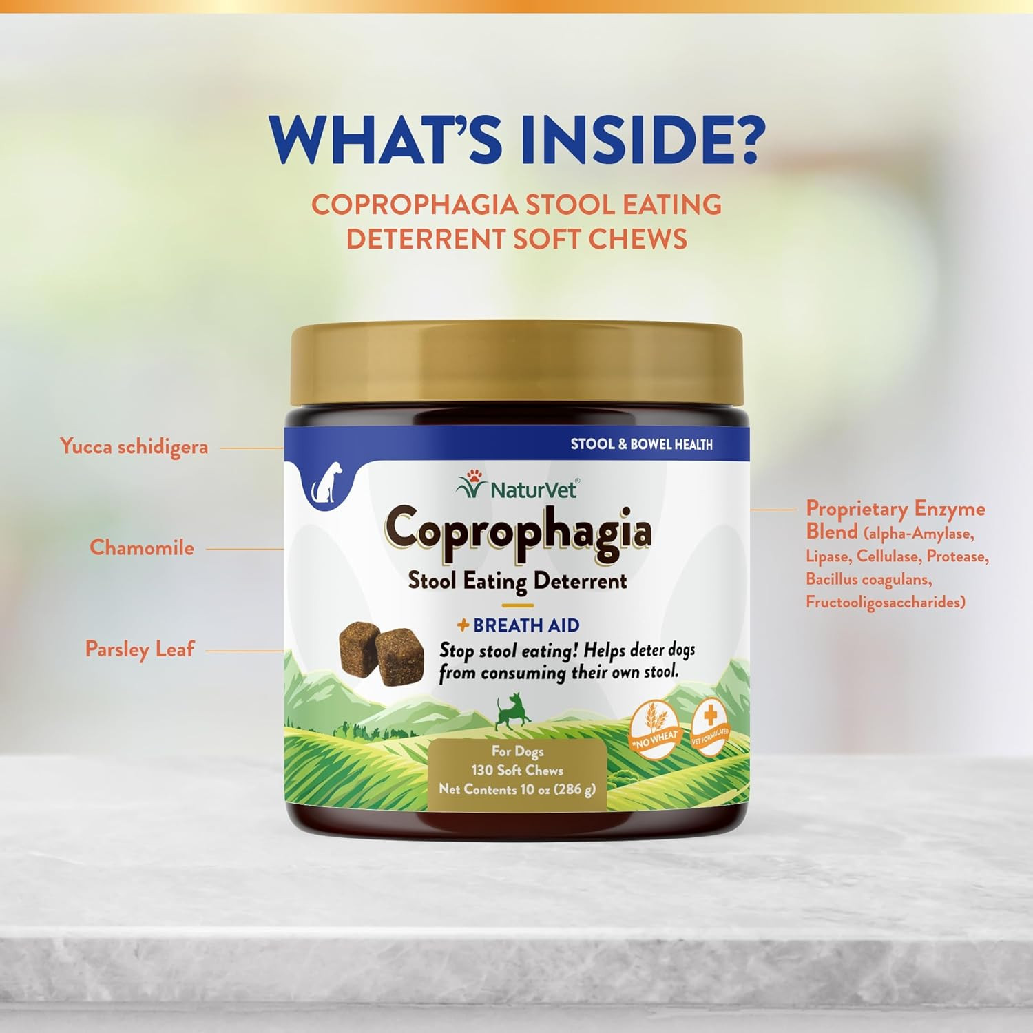 NaturVet COPROPHAGIA Soft Chew Bottle Dog Stool Eating Deterrent 130 count