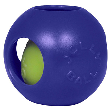 Jolly Pets Teaser Ball 10 inch Blue Hard Plastic plus Squeaker Toy for Dogs