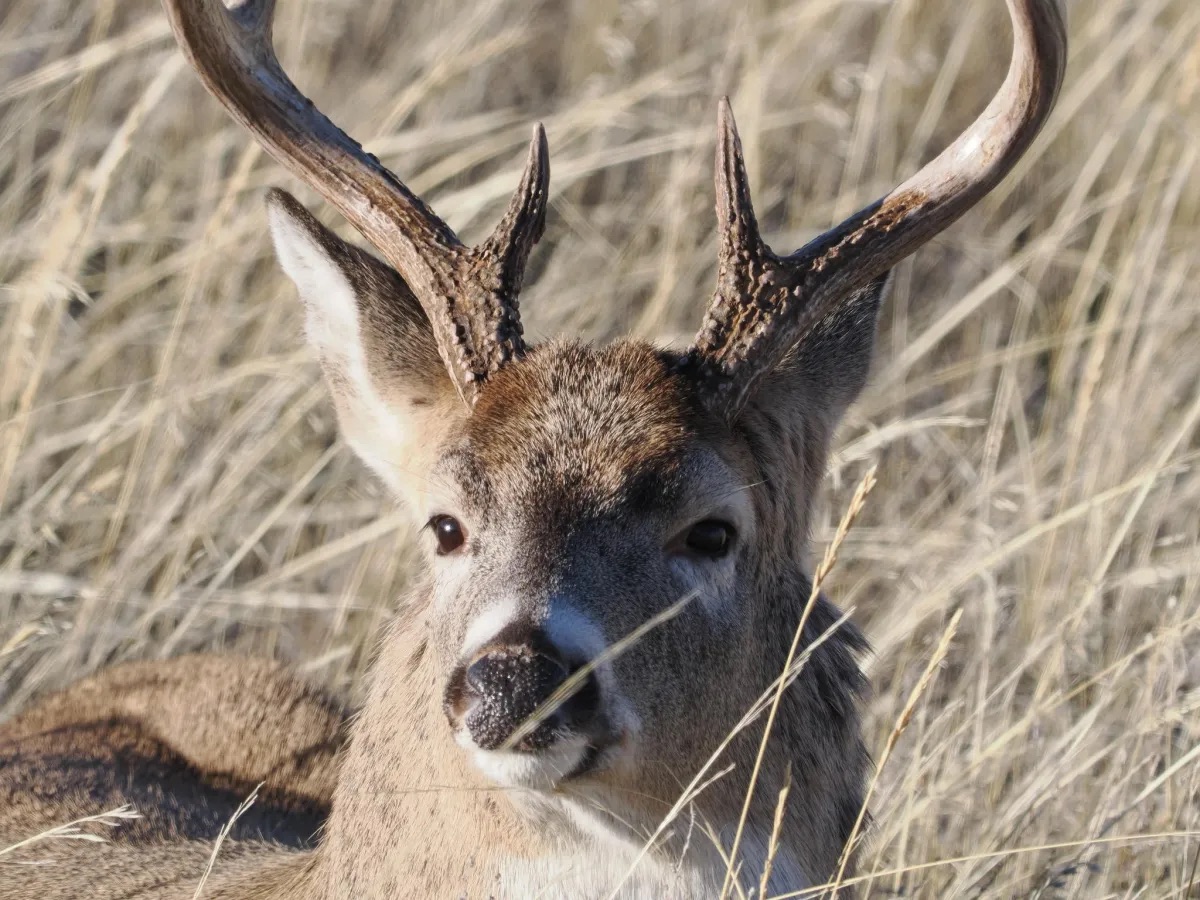 2023 Fall Wrap Up - Skogen's Outdoors