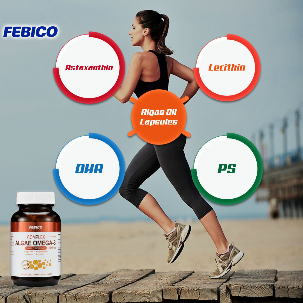 FEBICO Vegetable DHA Algae Oil Capsule- 60 capsules (Chinese Package ...