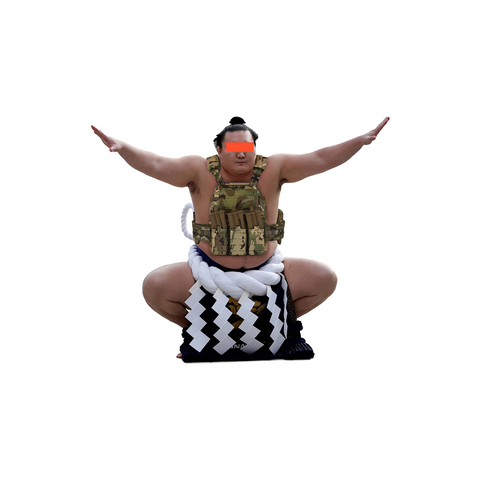 Ferro Concepts Street Sweeper Sticker