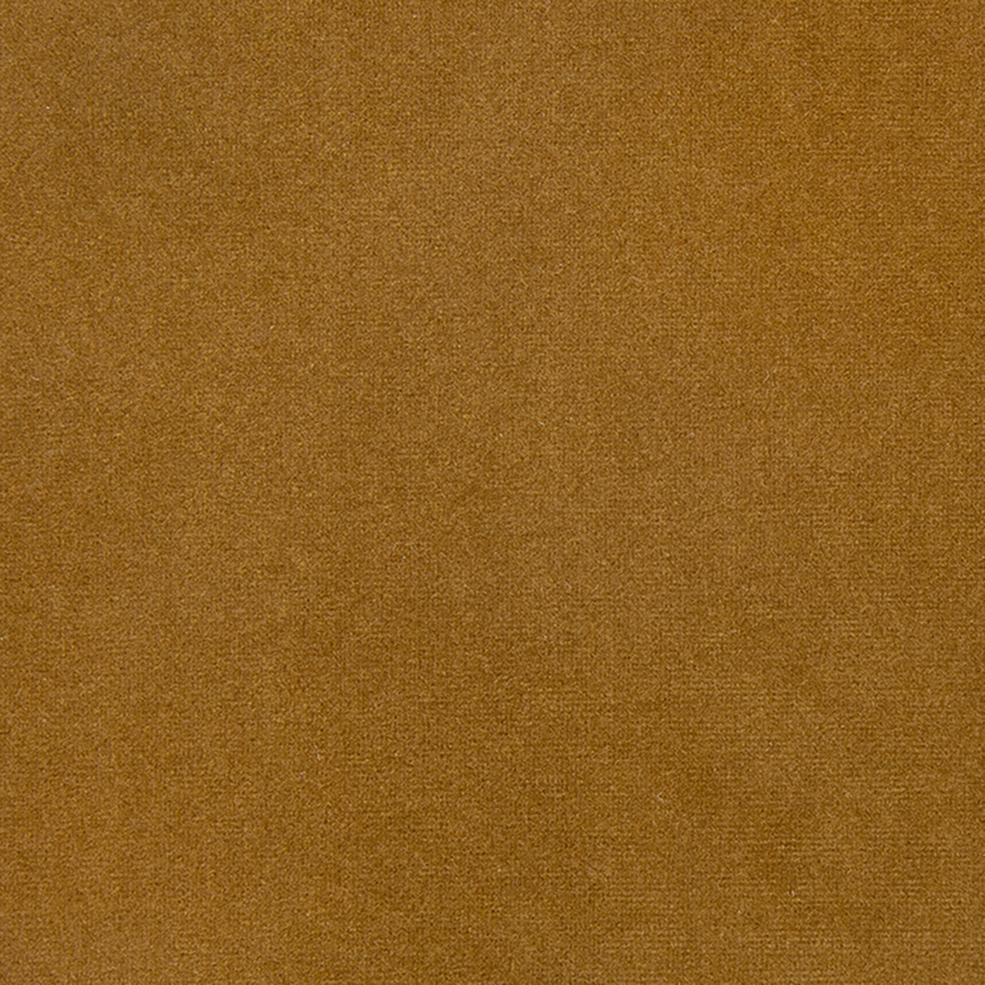 Earthy Yellow: KOGY Swatch - Jennifer Taylor Home