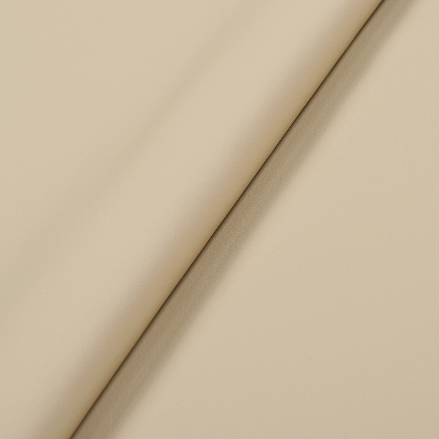 Neutral Cream Beige: L01 Swatch - Jennifer Taylor Home