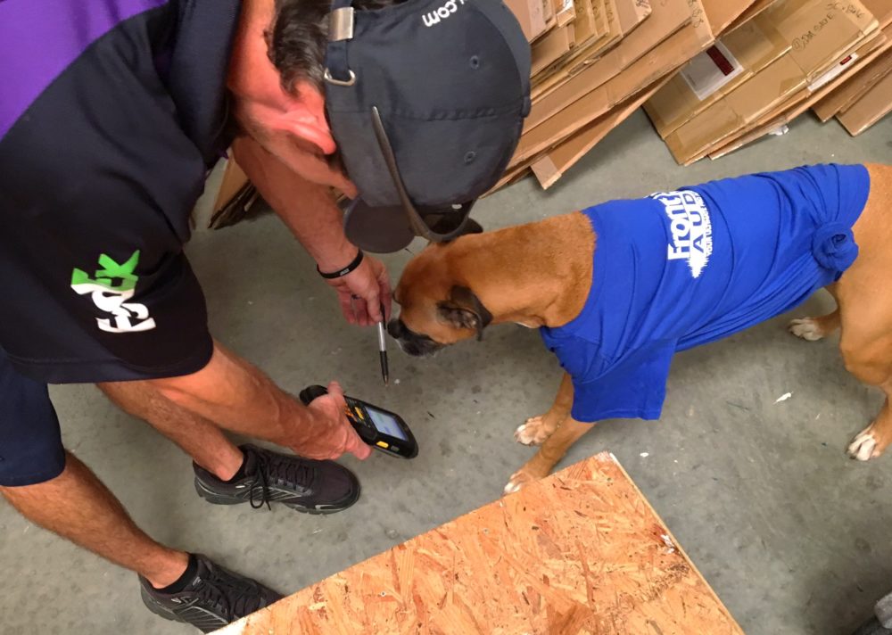 FedEx Paw Print Recognition System - Front End Audio