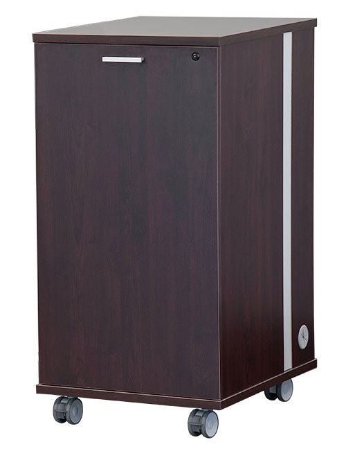 RKYZ21, 21U Mobile Rack - VideoLink®