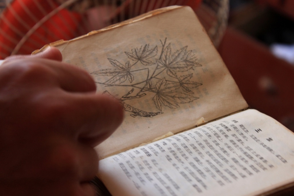 Training - Classical Pearls Herbal Formulas